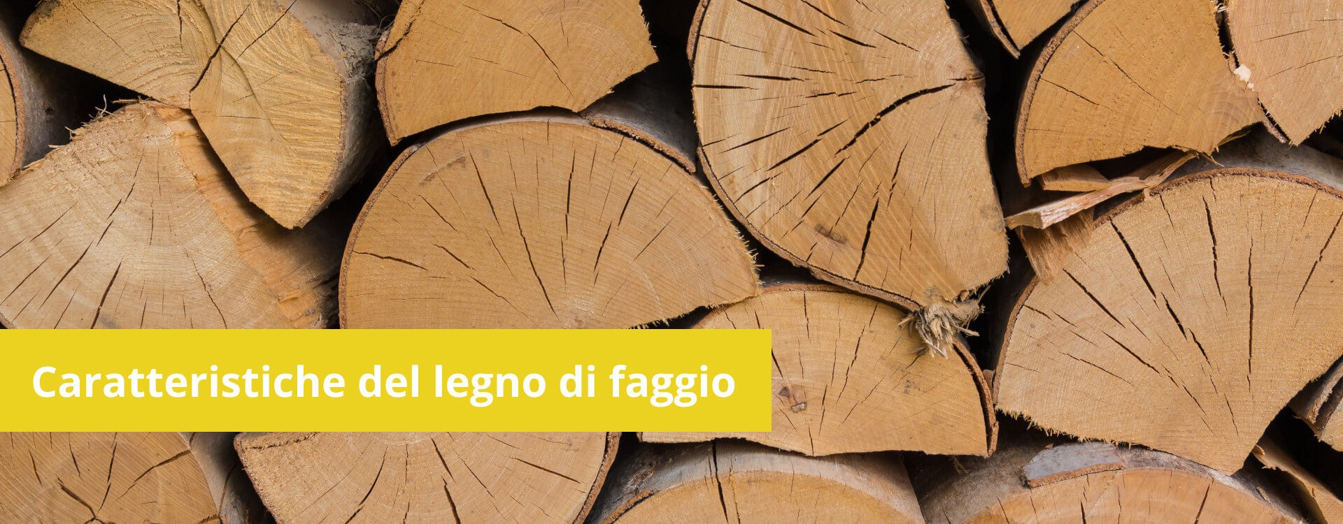 Le principali caratteristiche del legno di faggio